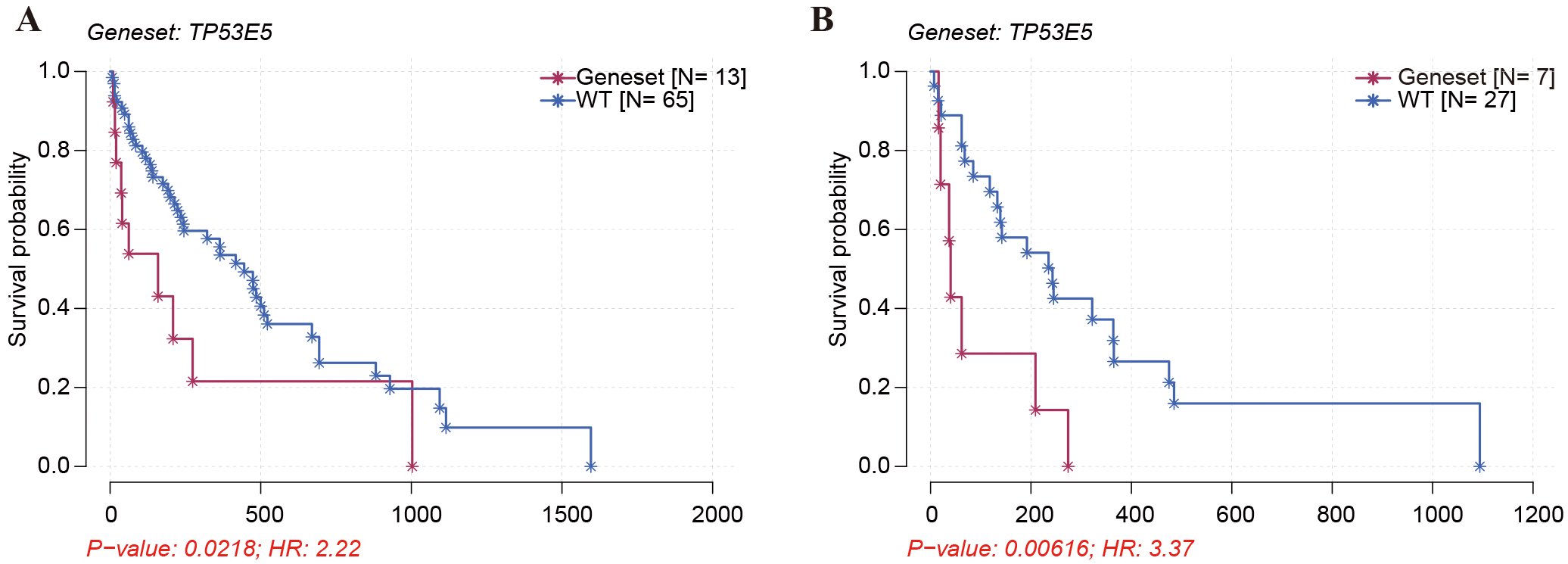 Tp53 Exon 5 Mutation Indicates Poor Progression Free Survival For