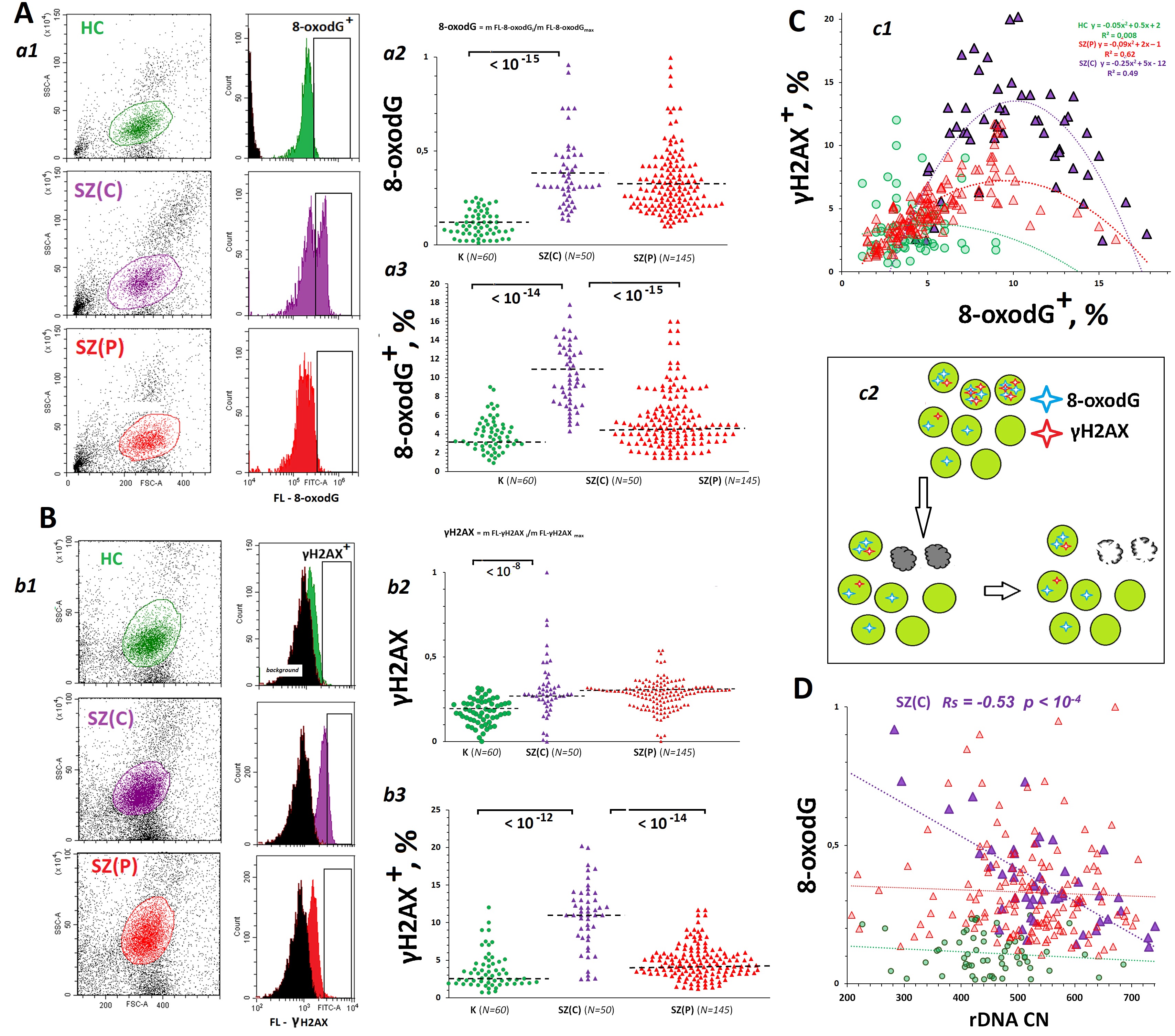 Increased Ribosome Biogenesis and Increased Oxidative Stress in Blood ...