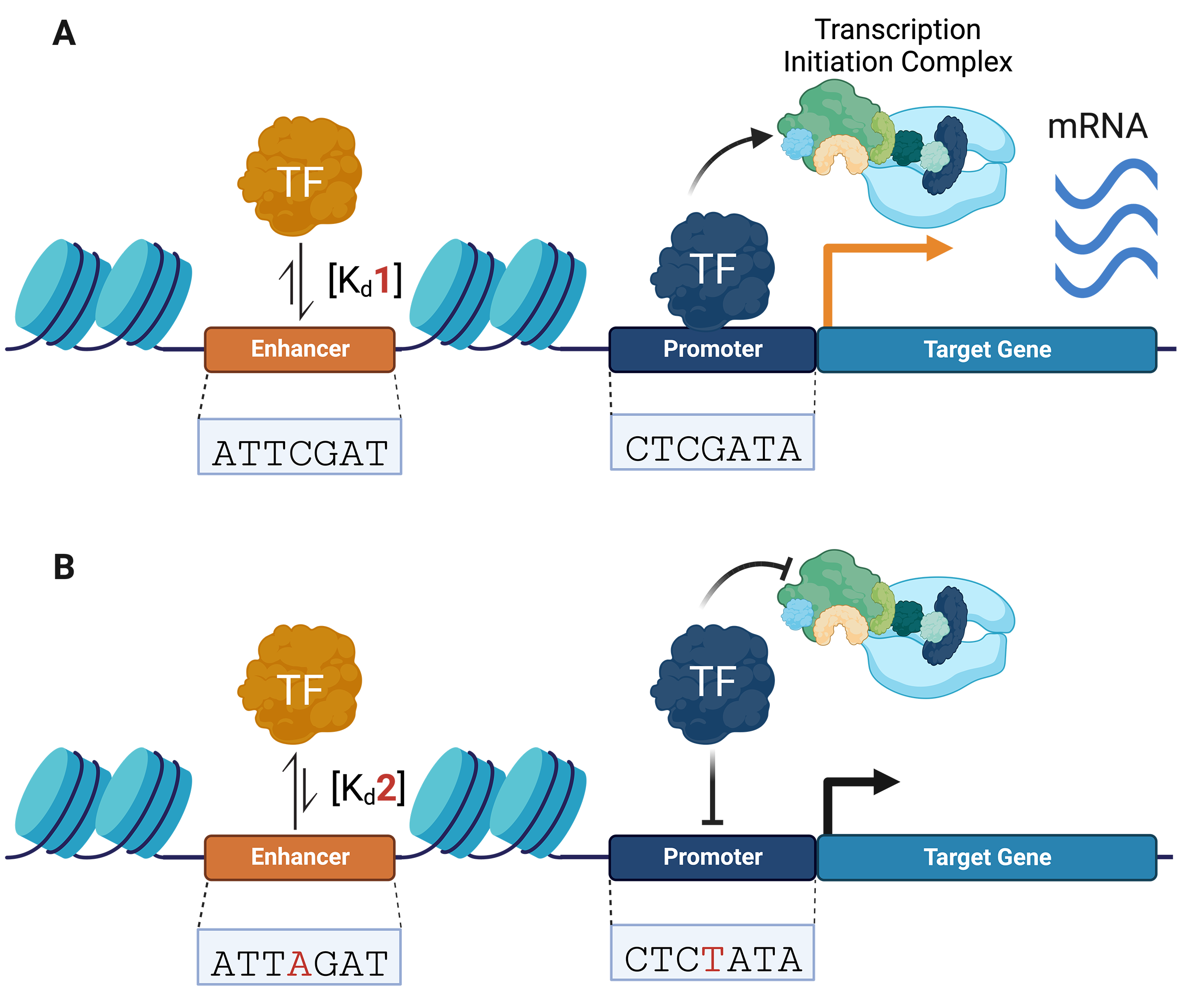 Decoding Non-coding Variants: Recent Approaches to Studying Their Role ...