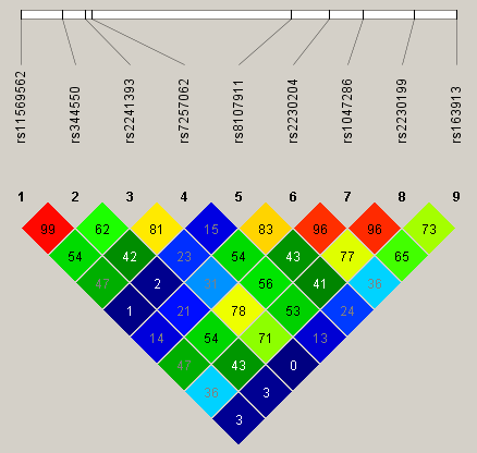Roles of Single Nucleotide Polymorphisms of C3 Gene in Patients with ...
